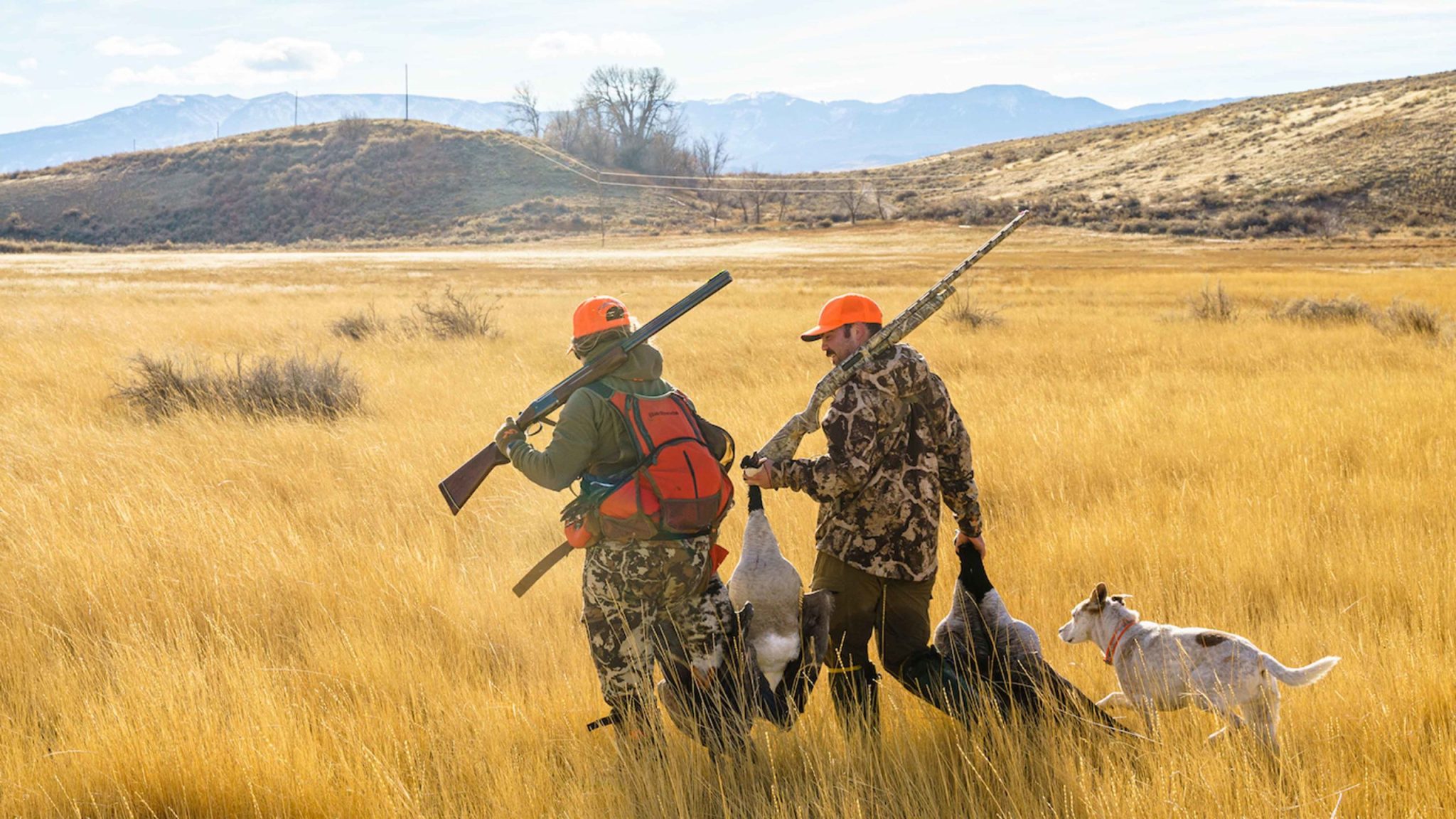 Opinion: Conservation and access priorities for Wyoming sportspeople ...