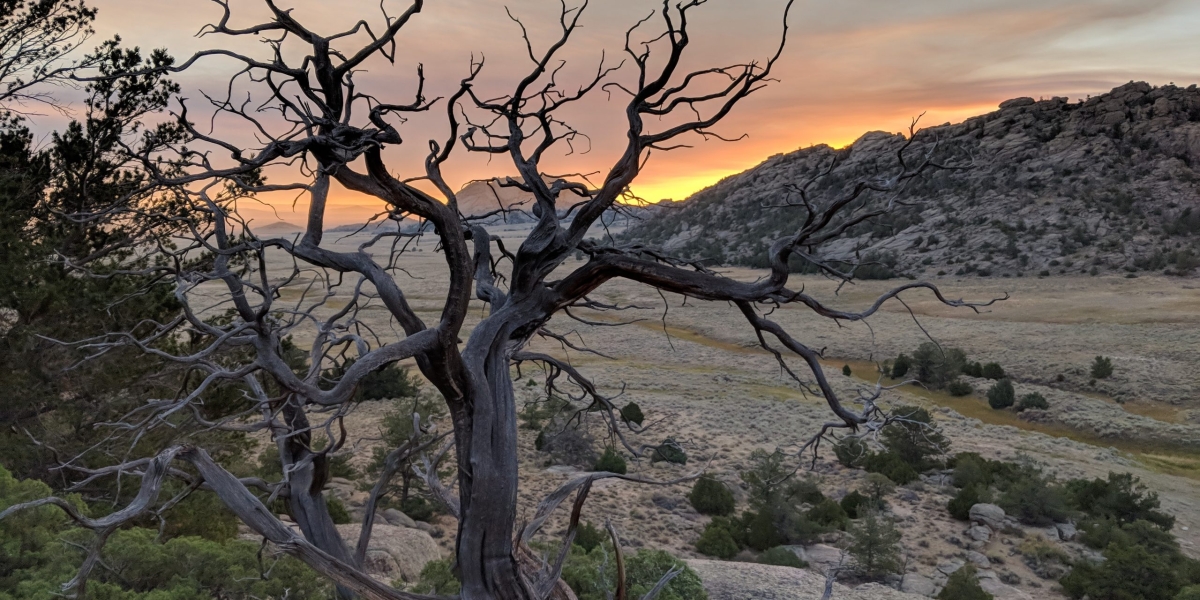 Sweetwater Rocks Initiative - Wyoming Wild Sheep Foundation Wyoming ...