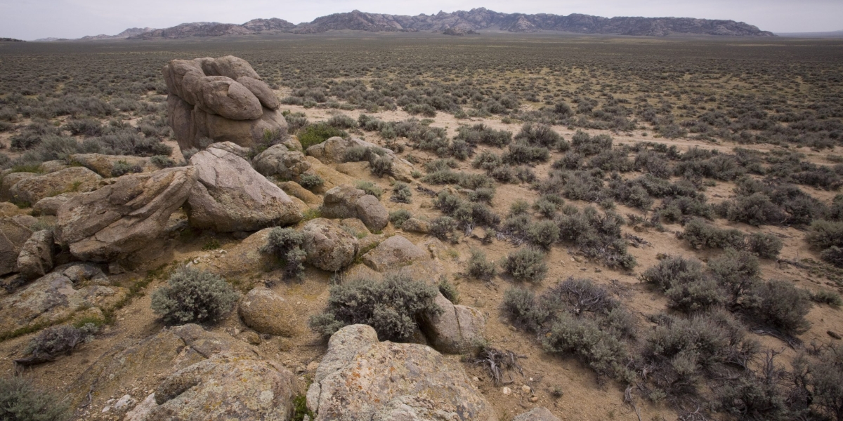 Sweetwater Rocks Initiative - Wyoming Wild Sheep Foundation Wyoming ...