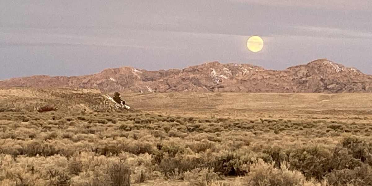Sweetwater Rocks Initiative - Wyoming Wild Sheep Foundation Wyoming ...