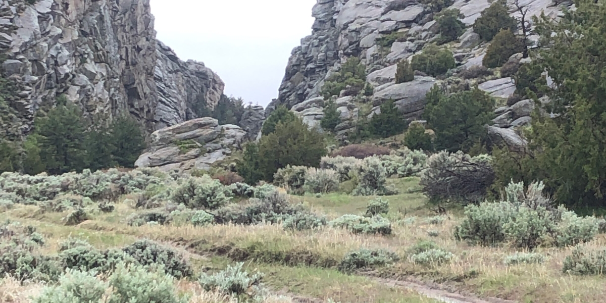 Sweetwater Rocks Initiative - Wyoming Wild Sheep Foundation Wyoming ...